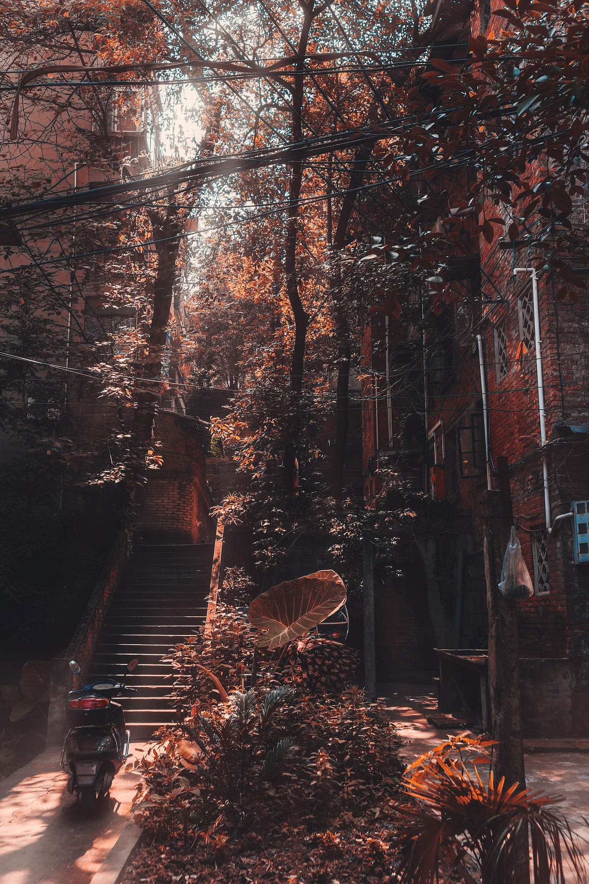 Nostalgia. POETRY | by Shamaima Irfan | Readers Hope | Jan, 2024 | Medium