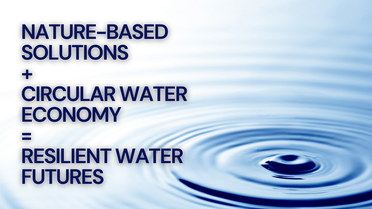 Nature-Based Solutions and the Circular Water Economy: Advancing ...