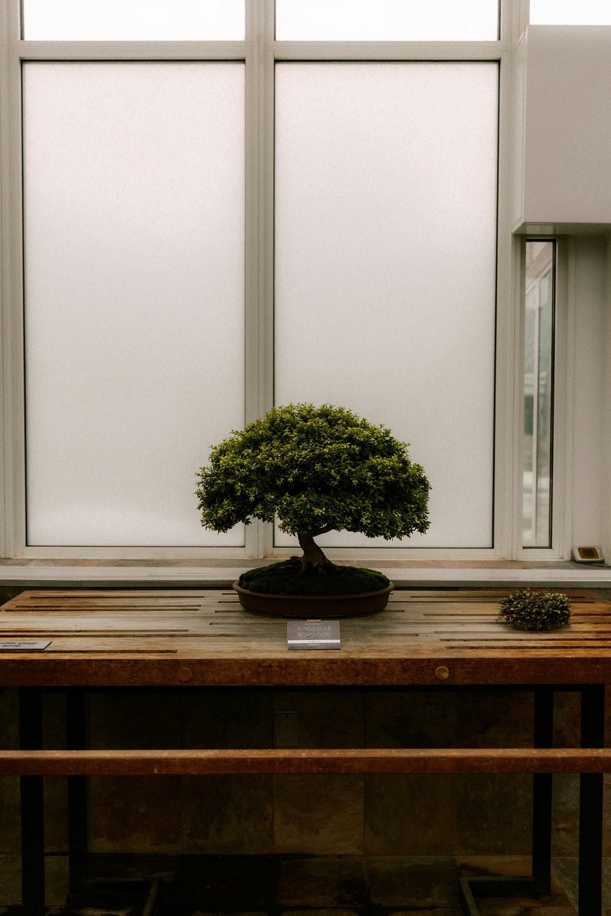 Do You Believe the Reward Is in the Waiting… | by Thethoughtfulledger ...