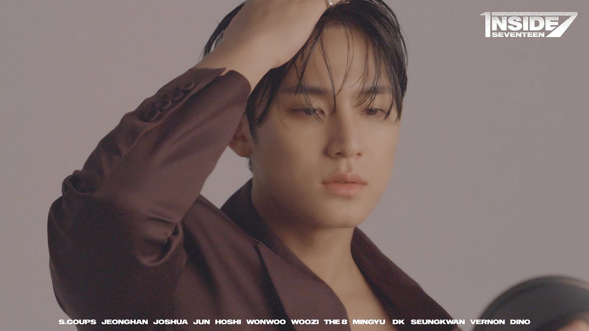 Mingyu of SEVENTEEN: The Charismatic Idol Captivating Hearts Across the Globe | by RAE & ABBEY ...