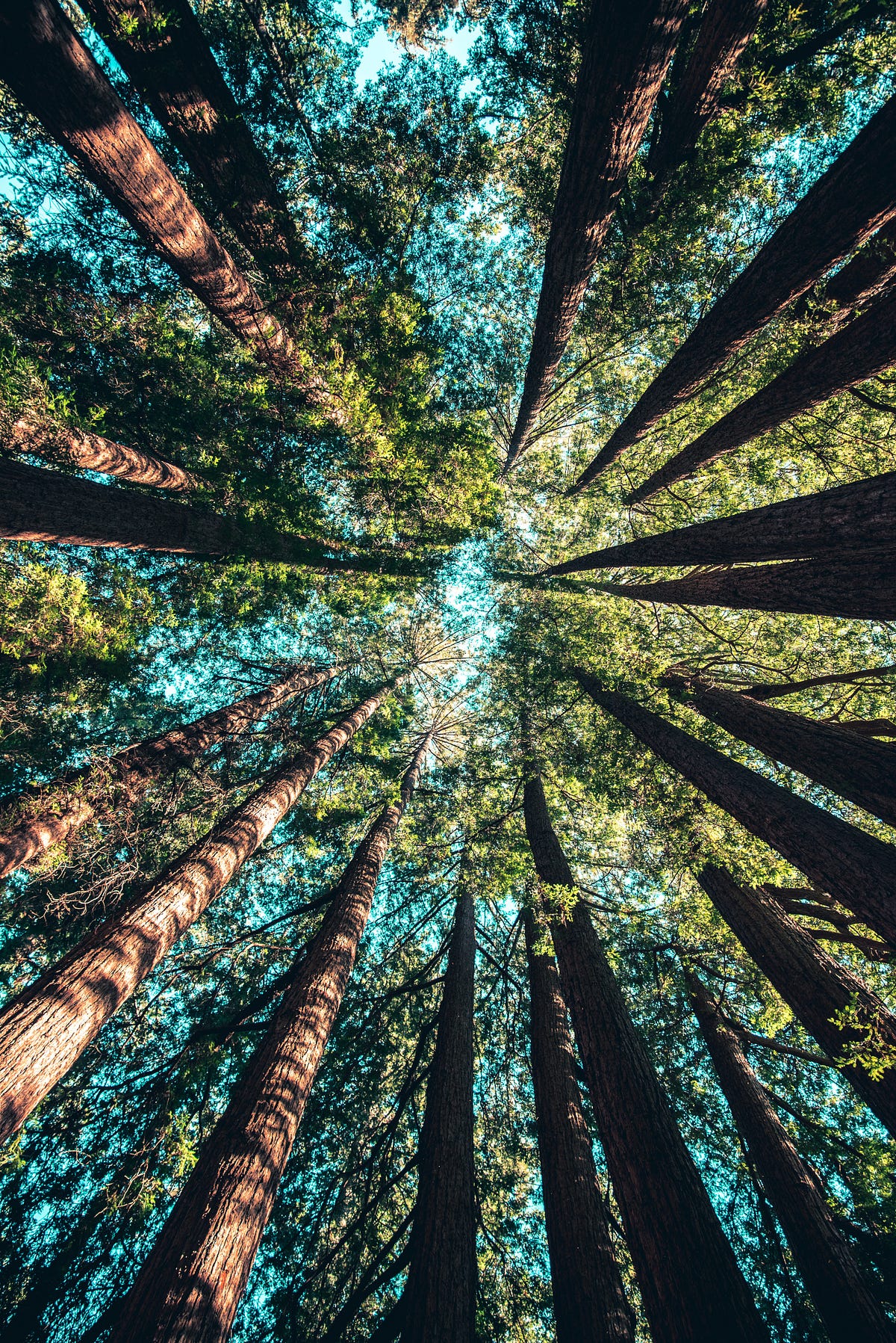 Leet Code Solution Unique Binary Search Trees Ii By Leetcodein5minutes Medium 9844