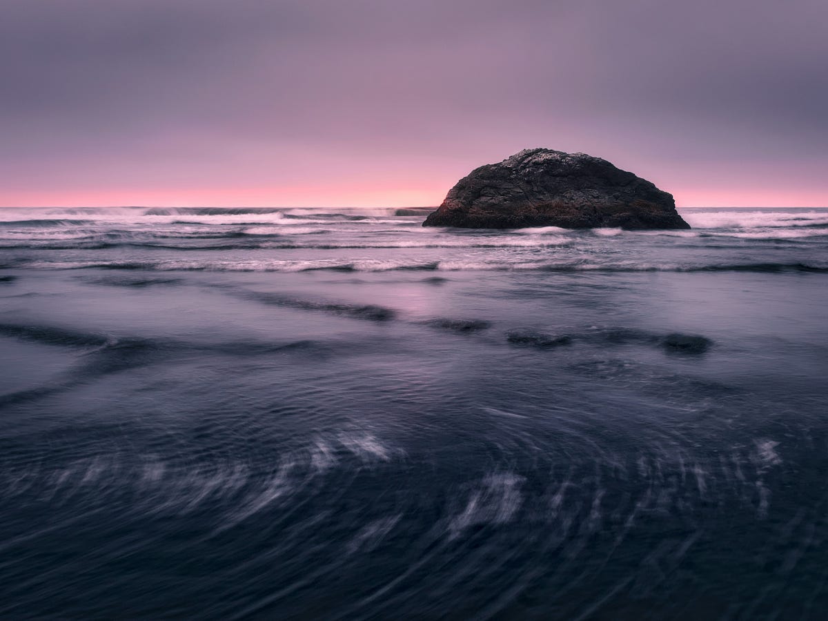 When The “Dolphins” Roamed The “Land”. | by Priyanka sahoo | Medium