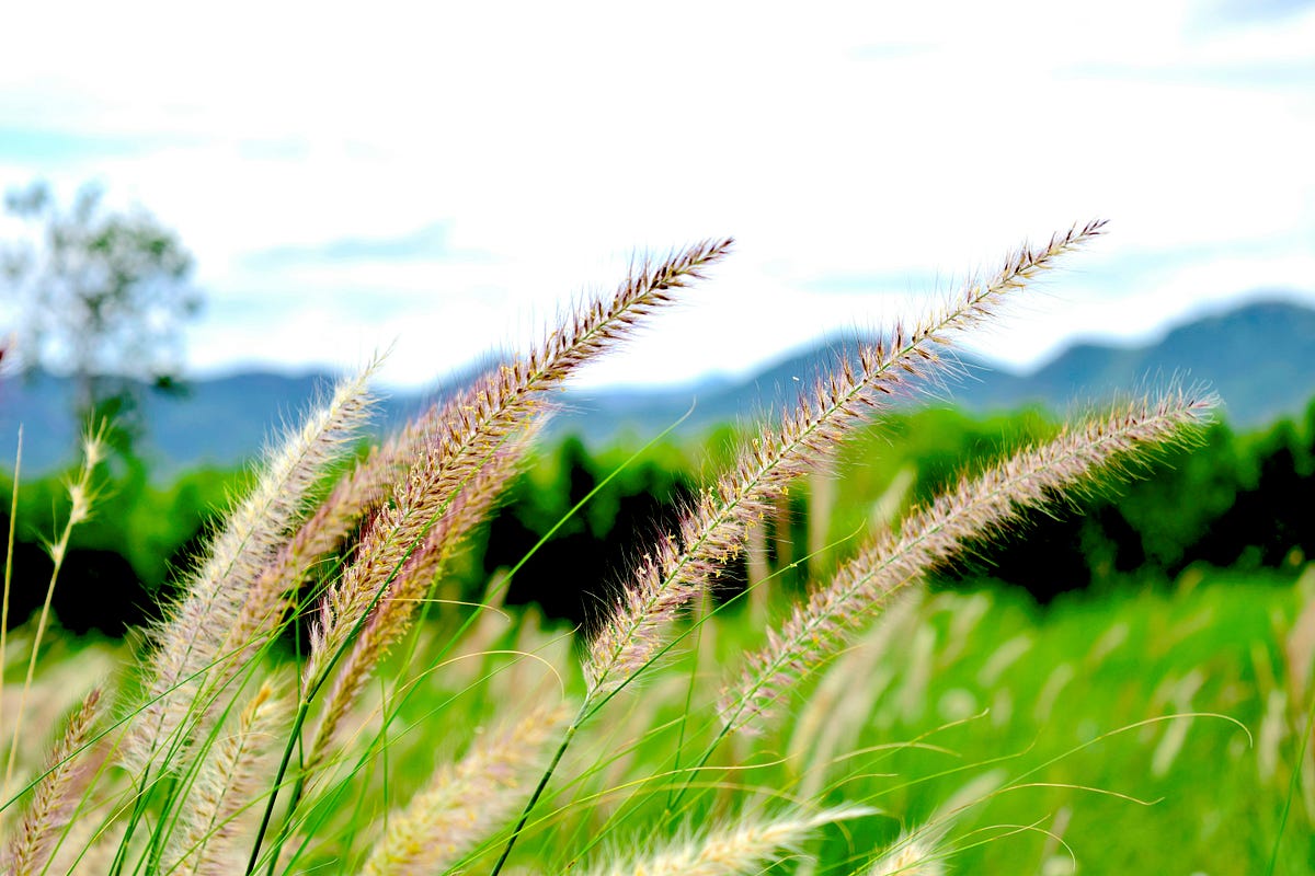 Fill Your Inner Sky. Mind alchemy | by Amy Christie | Knowing Muse | Medium