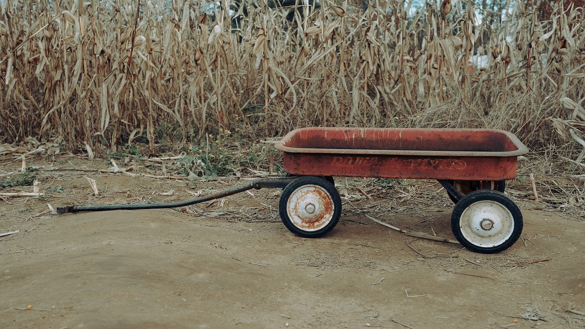 Getting Back on the Wagon. We talk about falling off the wagon… | by ...