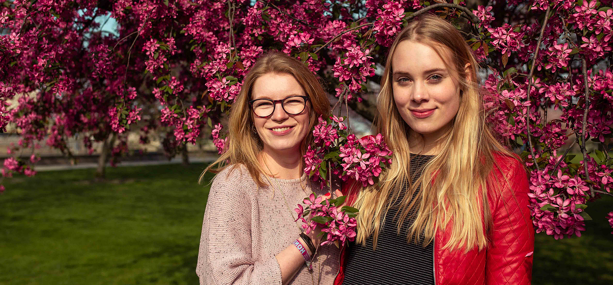 Mein Praktikum bei OK — Folge #1. Was haben eine optimistische Idealistin… | by Arwed Barth ...