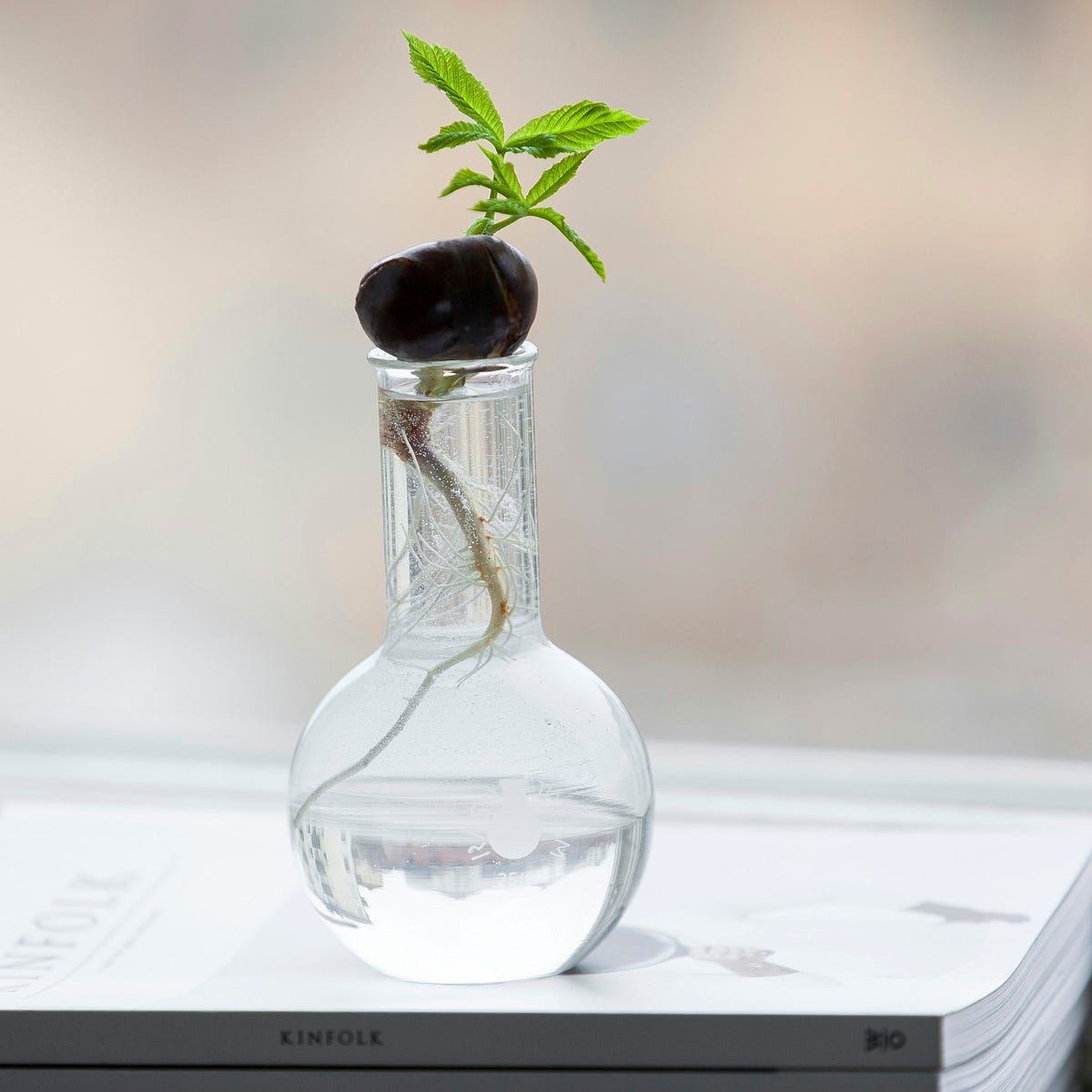 Daring to Grow. It’s been a tough few months. | by Dee | Medium