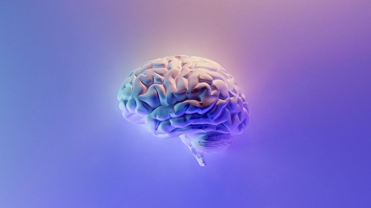DECODE THE ENIGMA: Rethink Evolution of the Human Brain | by Samantha ...
