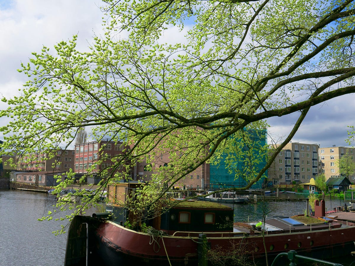 Transforming City Spaces into Green Oases - Chiro Adsmedia - Medium