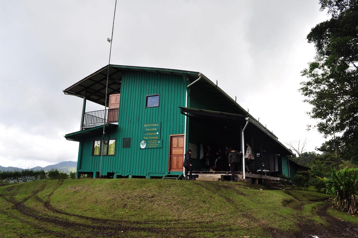 Life is Wet. A collection of journal entries from 5… | by Nyla Pirani | Medium