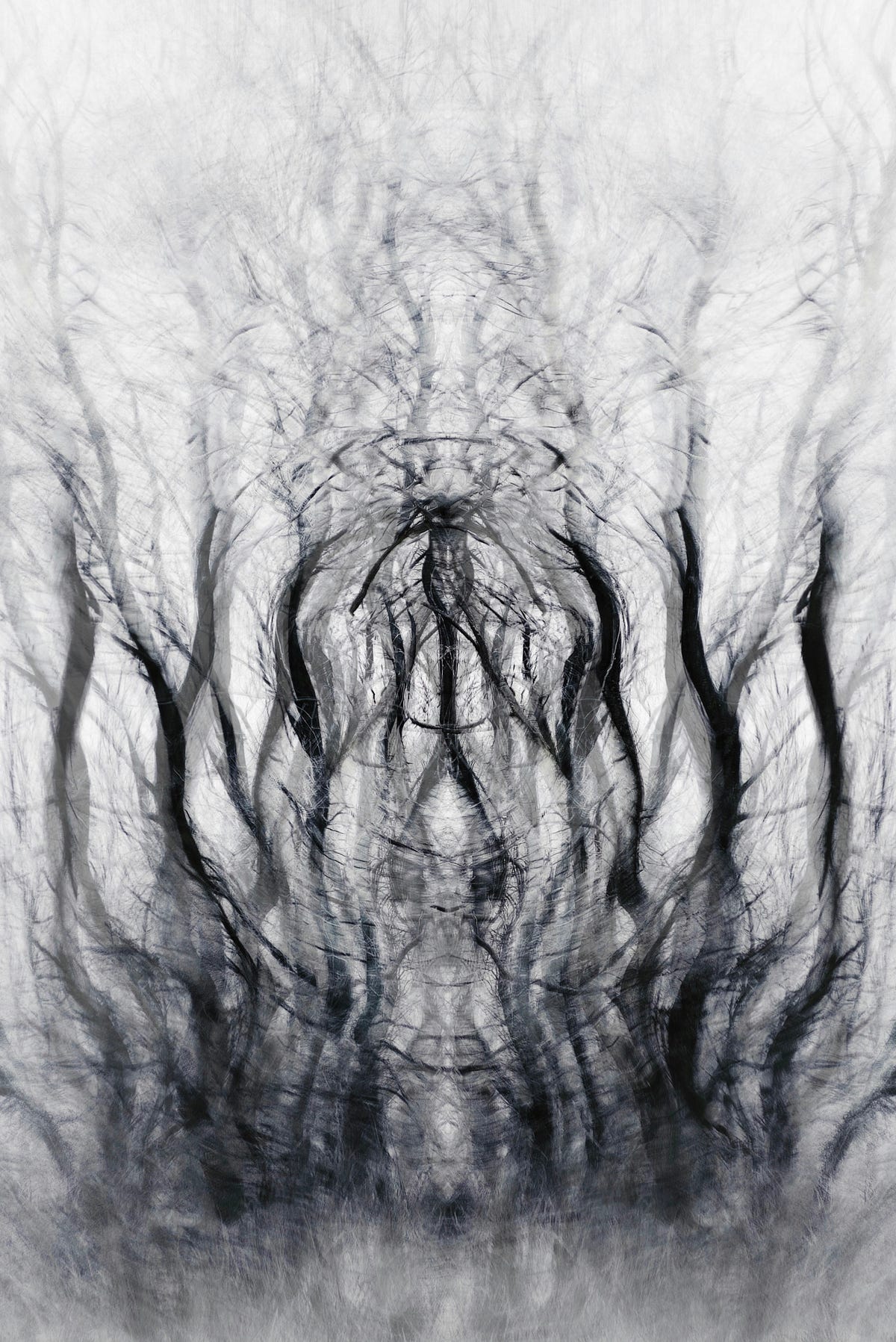 The First Step Past Ego. Most guides to “awareness” begin the… | by ...