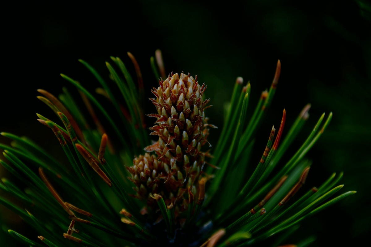 How to Debug Pine Script Code Like a Pro (Save Hours of Frustration ... How to Debug Pine Script Code Like a Pro (Save Hours of Frustration ...