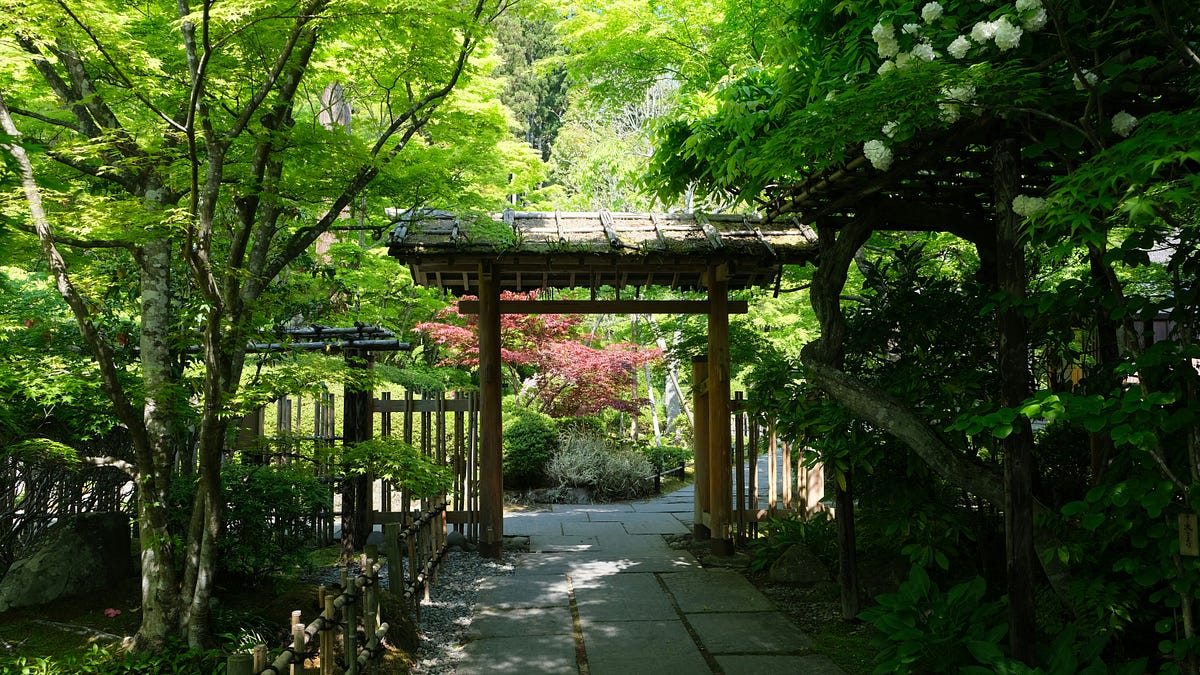 Once More Lifted Up - Catharsis Chronicles - Medium