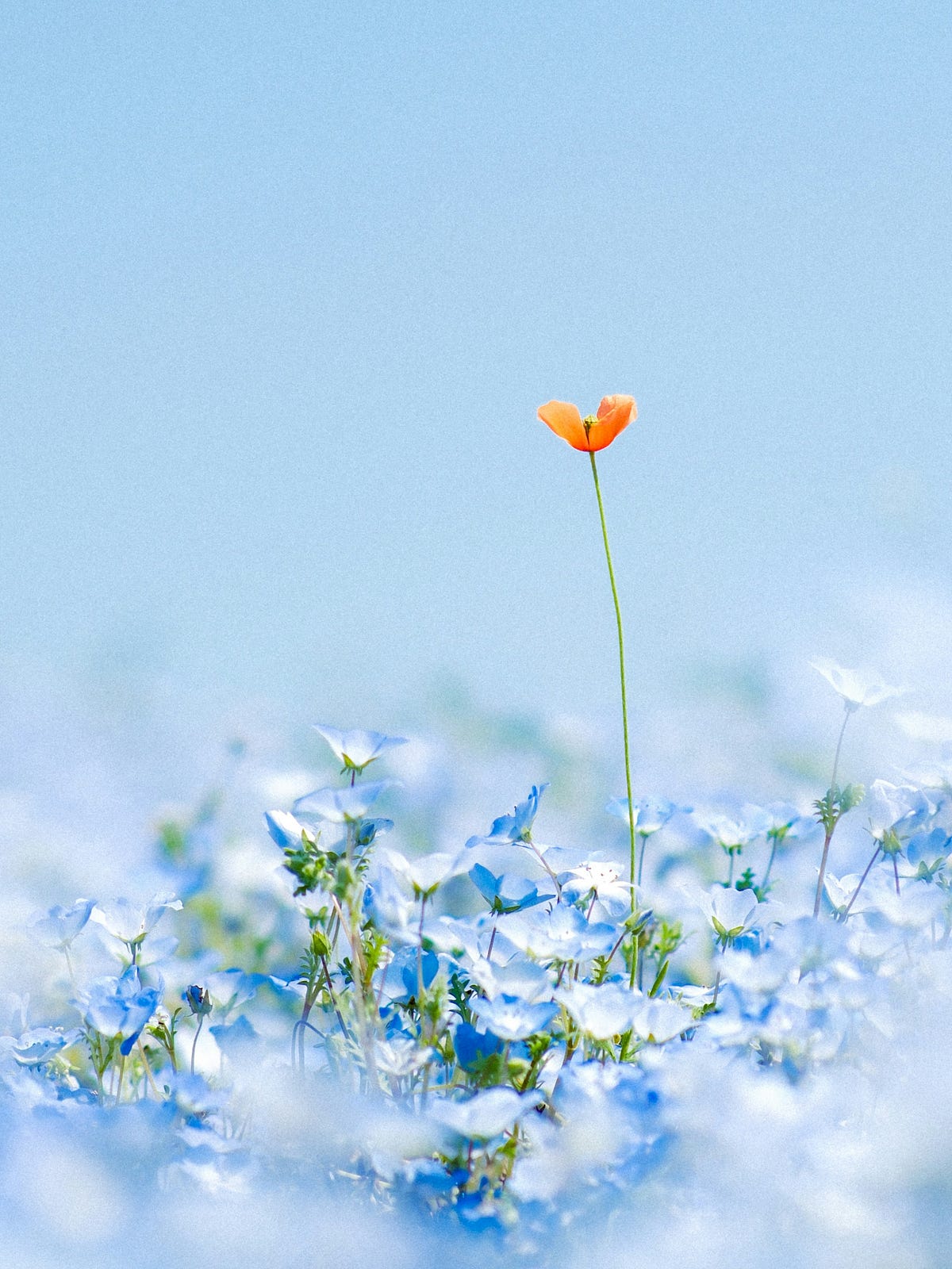 An unplanned retirement is death … | by Darren Sohkhlet (Blue Collar ...