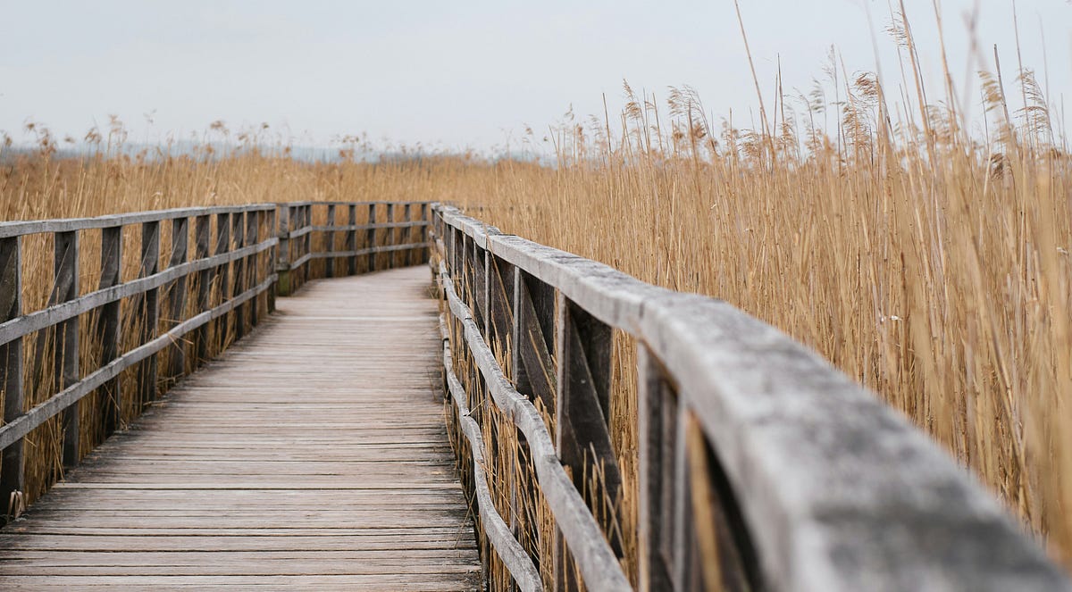 Title: The Ripple Effect of Bad Deeds: Understanding the Consequences ...