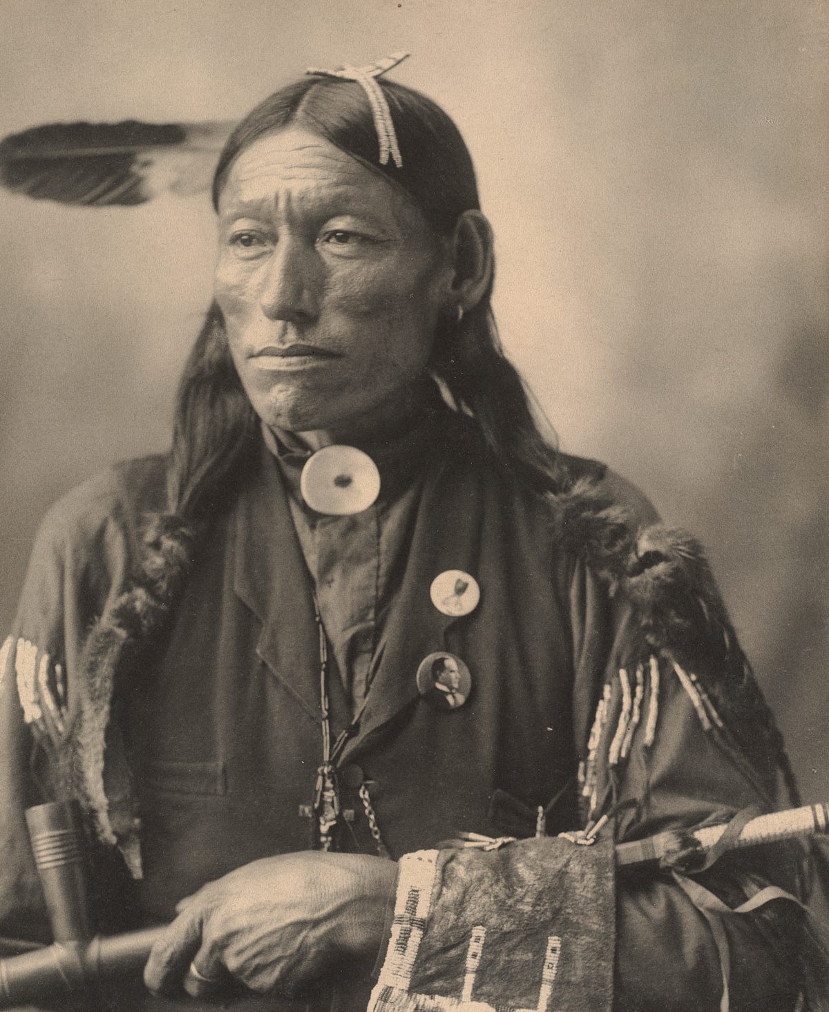 Native North American Berries, Powerful Immune Boosters. | by Dean Gee ...