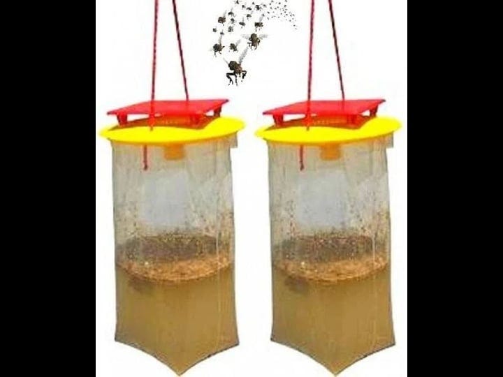 Outdoor Fly Traps | by Isla Brooks | Mar, 2024 | Medium