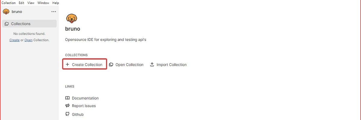 REST API Testing with Bruno. Introduction | by cyril george | Medium
