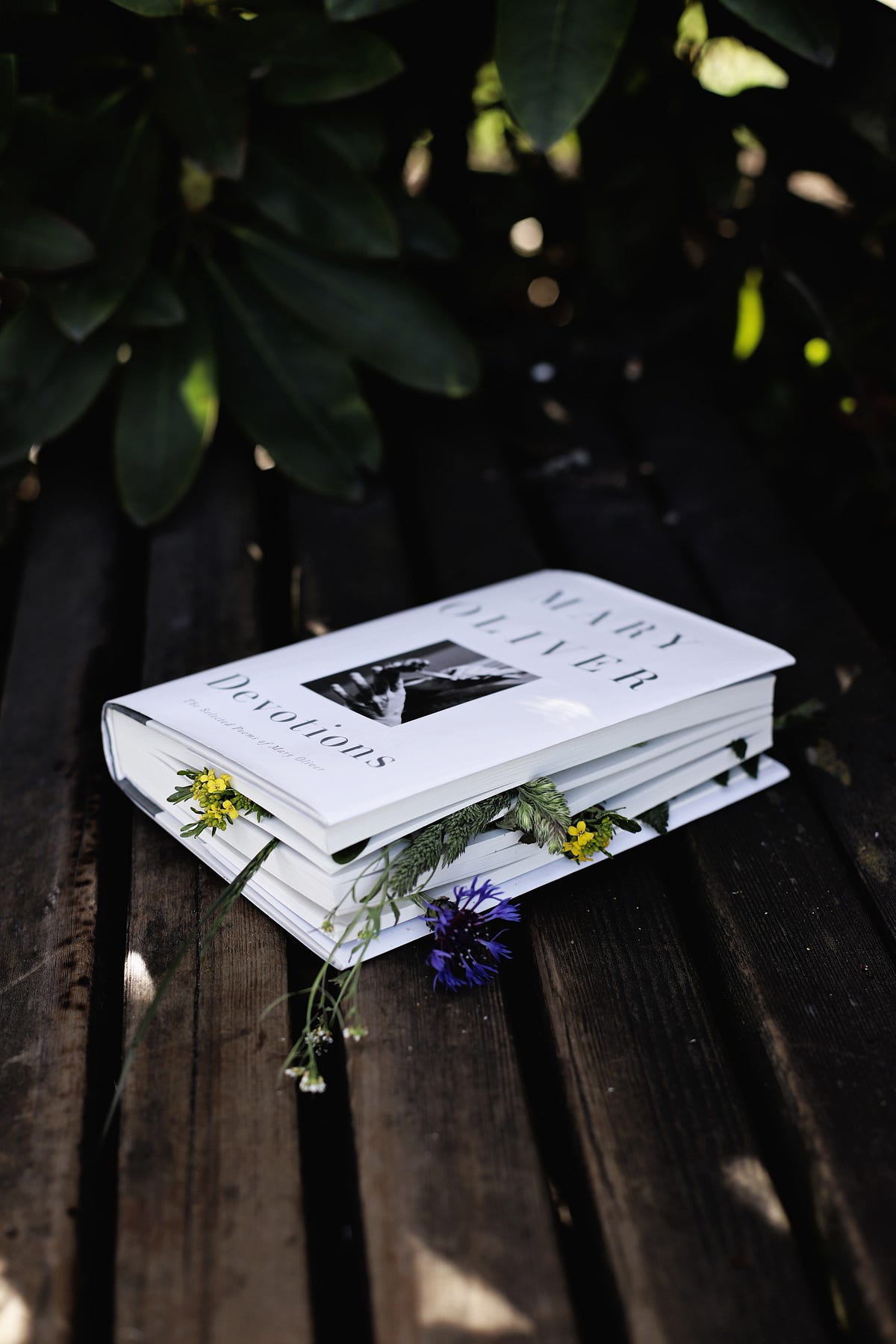 The Poetry Portal. A poem about poems | by Lewiscoaches | Dancing ...