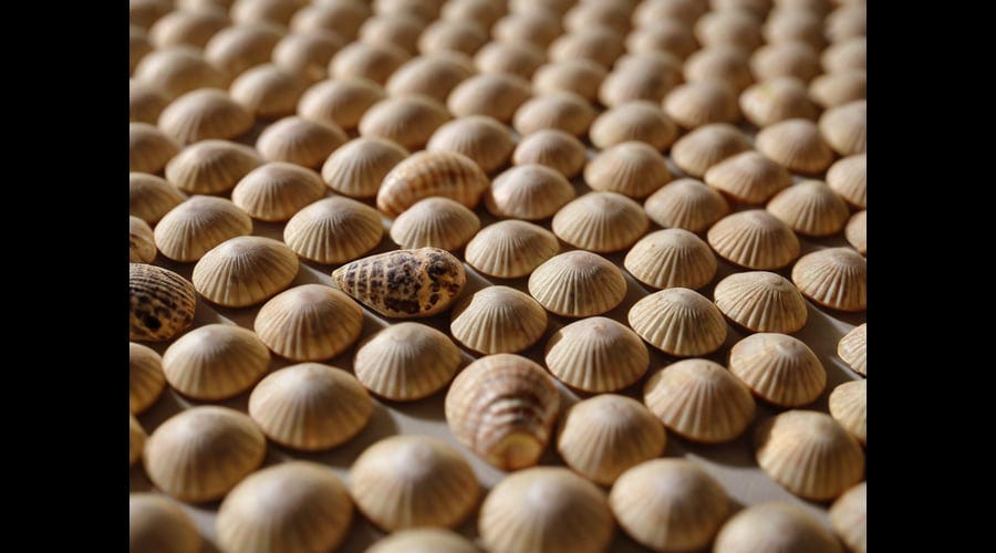 308 Shells | by Carter Mitchell | Medium