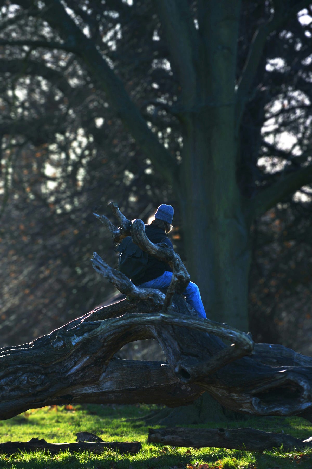 Is It Uncommon to Prefer keeping Personal Thoughts and Emotions Private ? | by Meher.m | Apr ...