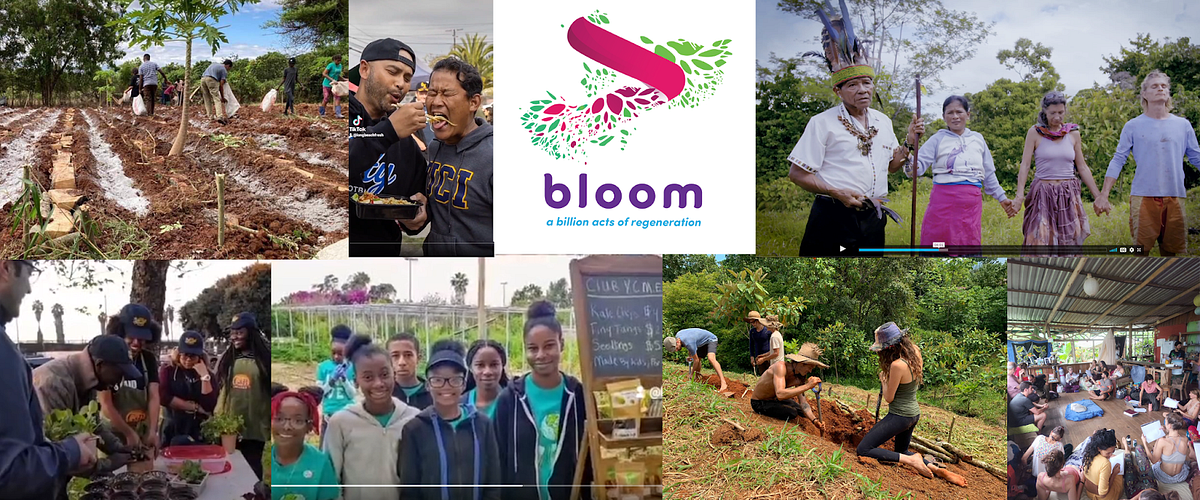 The Call to Bloom: Kickstart your local ecological efforts with global ...