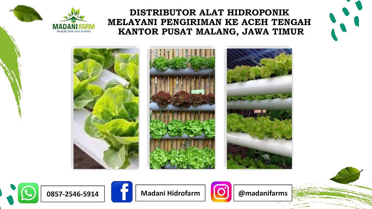 Distributor Agen Toko Pusat Grosir Jual Sarana Hidroponik di Kab. Aceh Tengah | by Madani Jaya ...