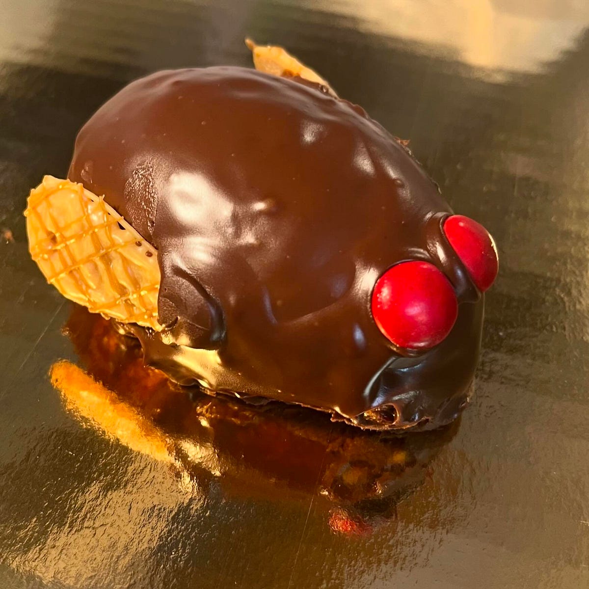 Cicadas You Can EAT 😋 - Weird Around Illinois - Medium