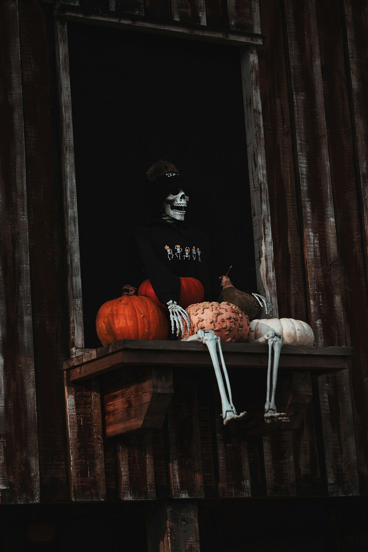The Scariest Thing: Big Picture Blindness, Petty Genius (Profound) | by Xiaochen | Jul, 2025 ...
