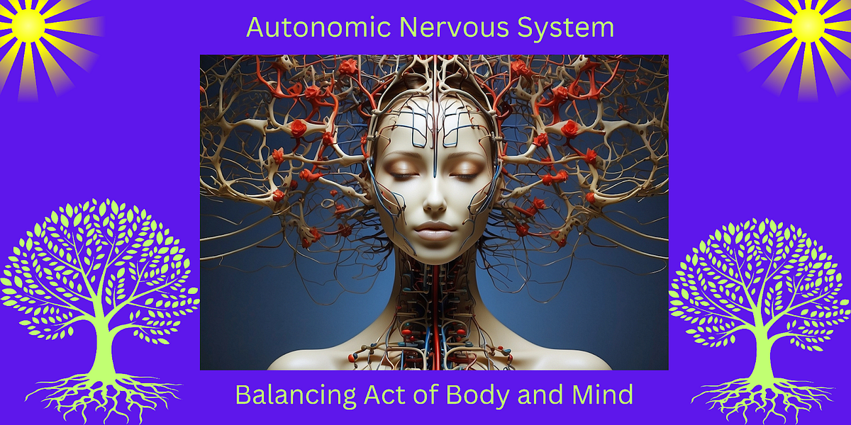 Autonomic Nervous System: Balancing Act of Body and Mind | by ...