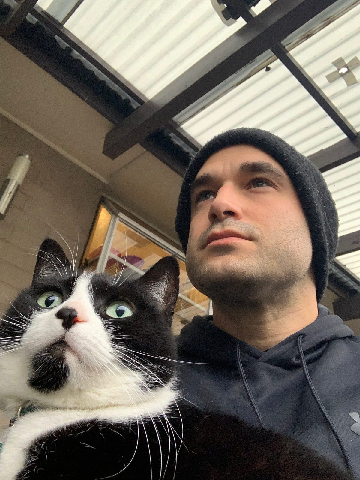 Using Words To Process Emotions. I wrote this short poem after an… | by ...