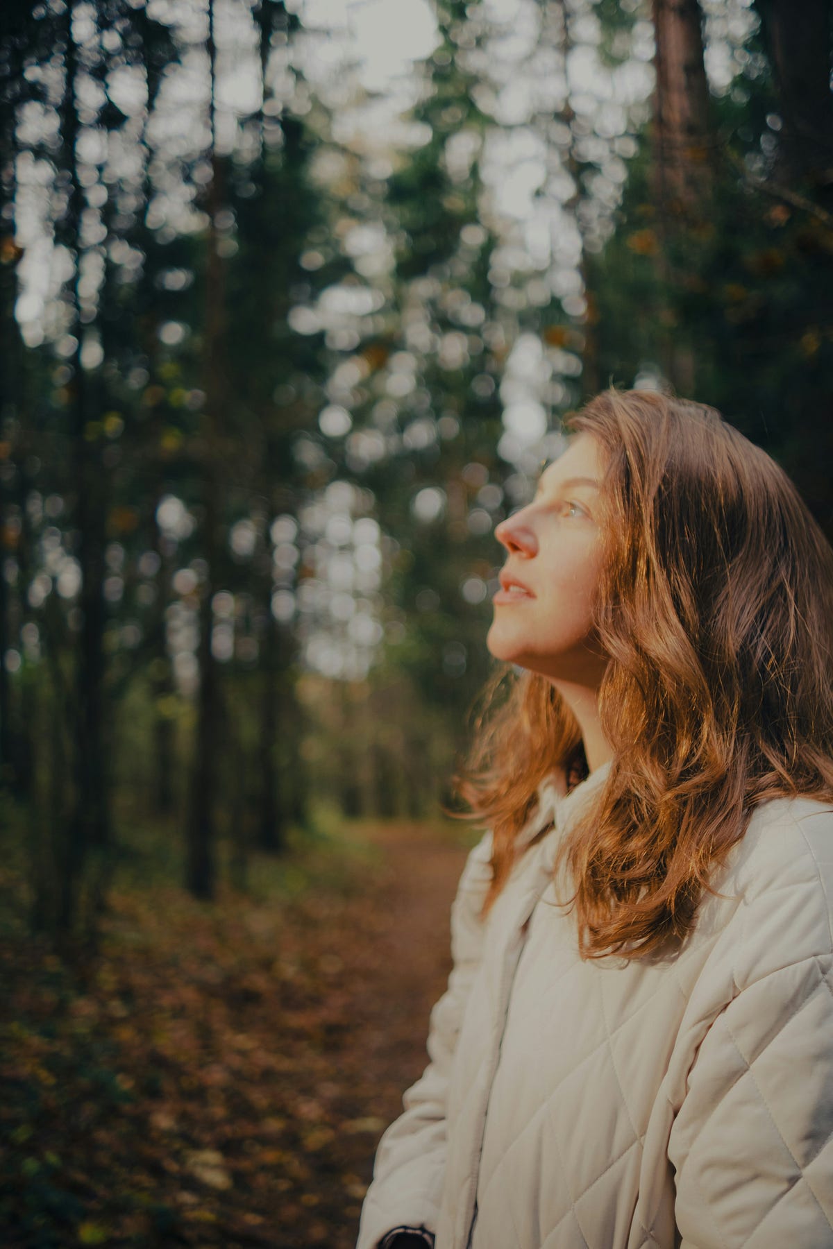 Whims of the Wandering Mind. always wandering | by Bonnie Lieberman | Dancing Elephants Press ...