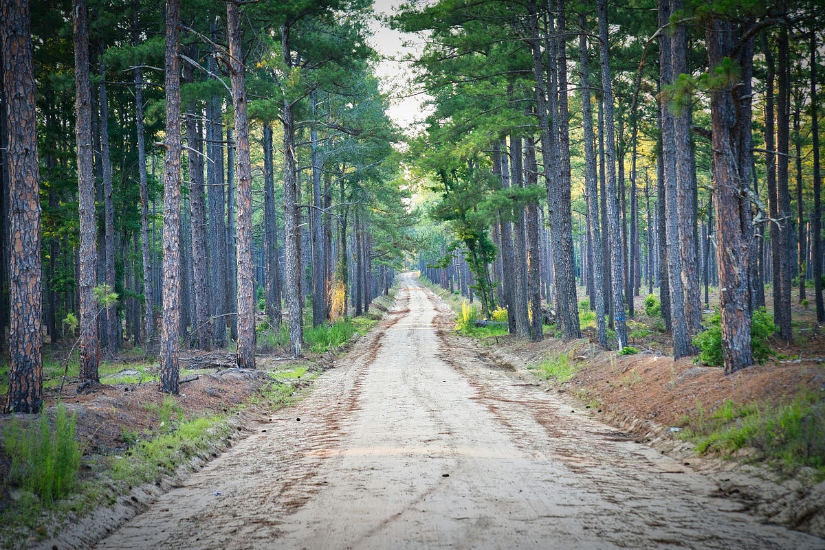 Memory Lane is My New Address. Wandering this path is a daily activity ...