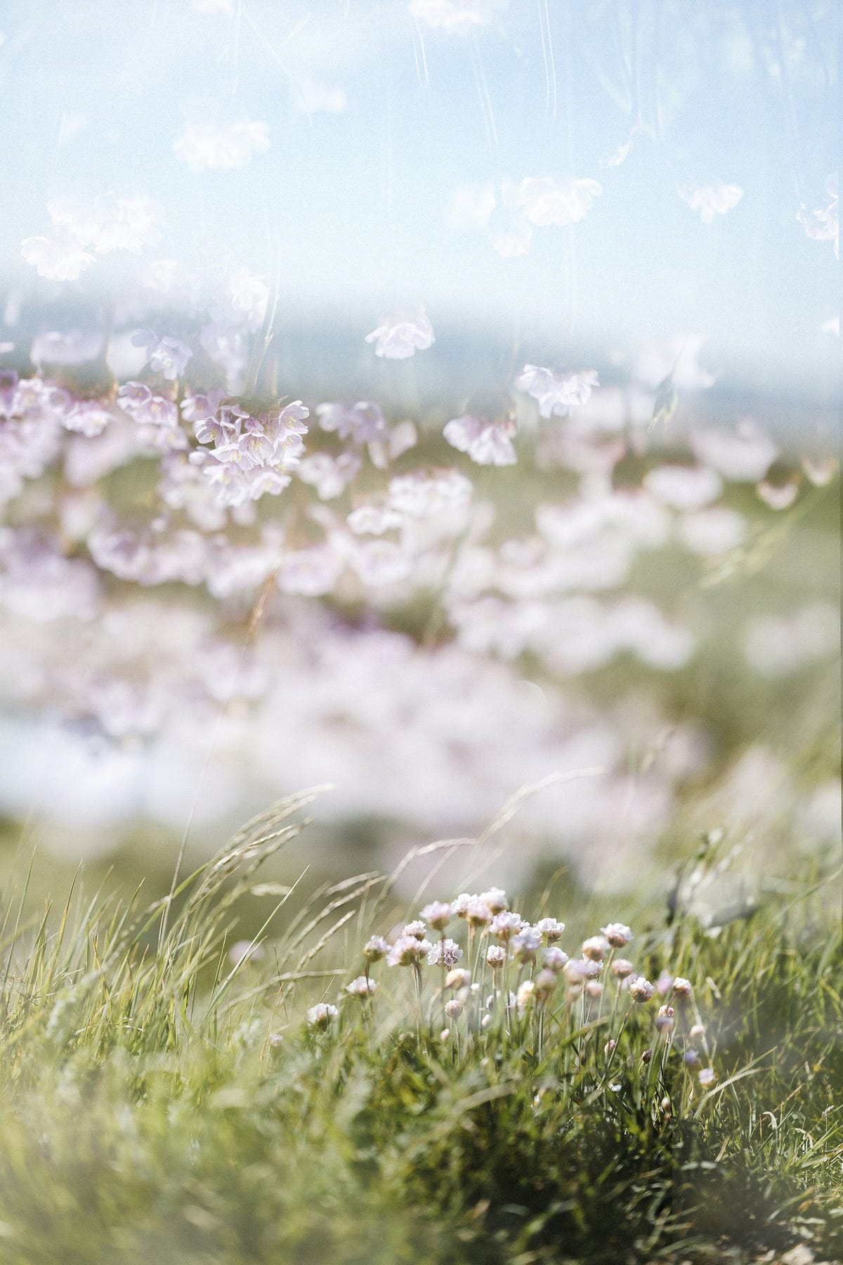 Serenity ~ a poem - Sita Rose Bennett - Medium