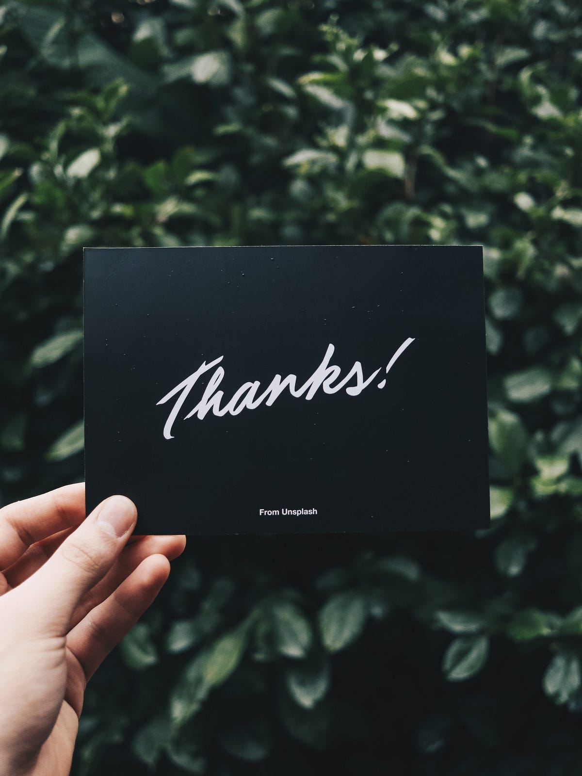 An Endorsement From Zulie Rane. Thank you | by Robert Ralph | New ...