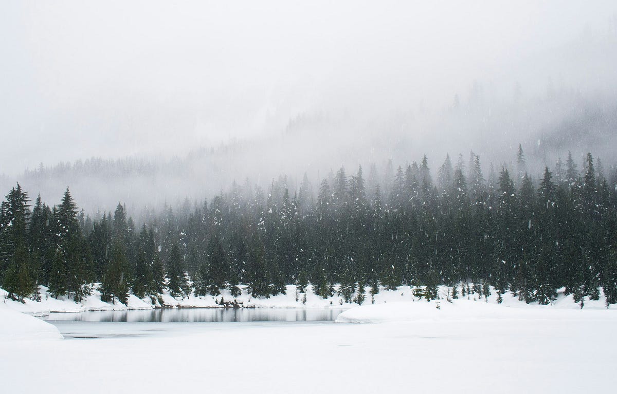 How much snow are we getting this winter? | Write A Catalyst