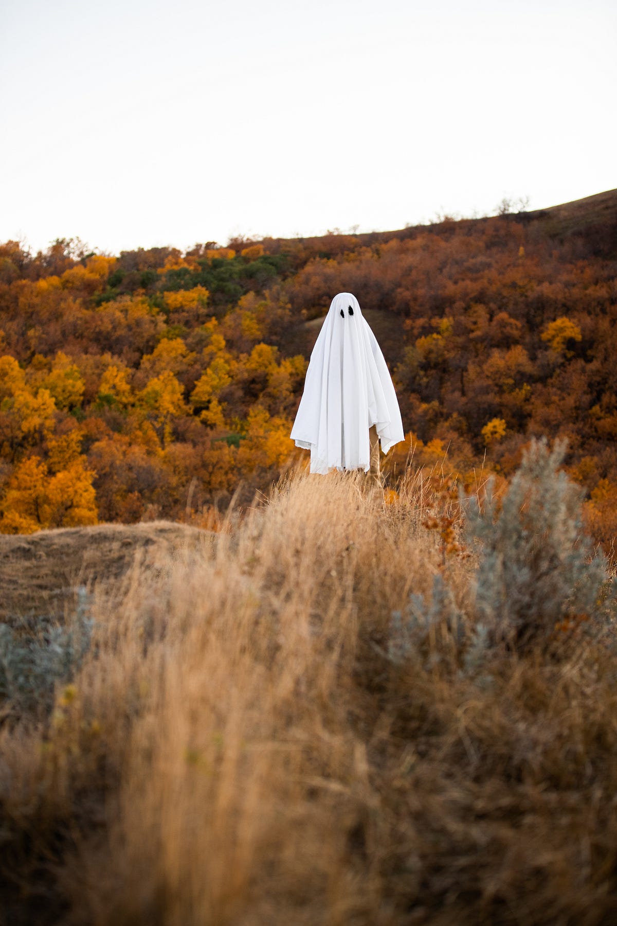 Ghost hunters deserve a purpose-built tool | Medium
