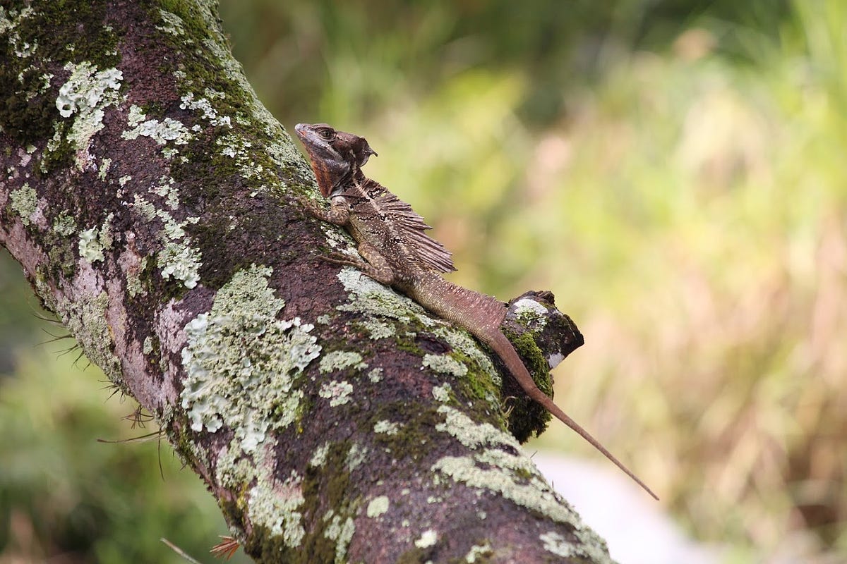 Colombia 2015. A travel report of our vacation in the… | by Gerwin Sturm | Medium