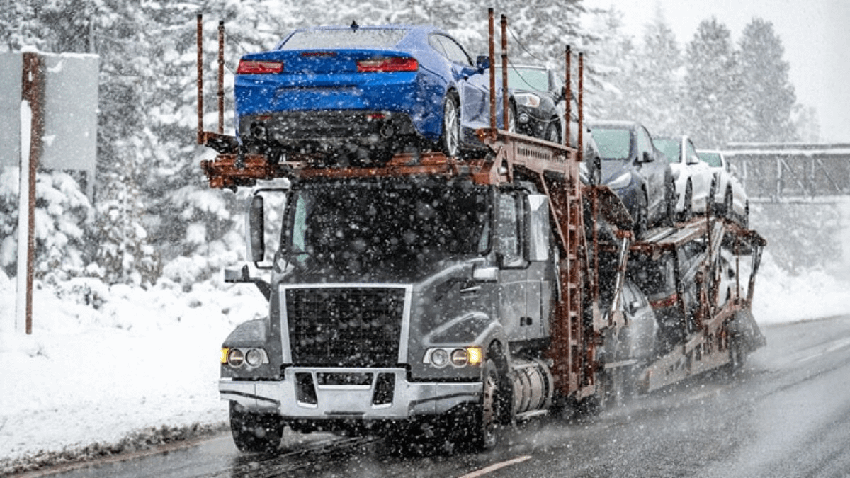 How to Secure Loose Parts on Your Vehicle Before Transport | by Safeeds ...