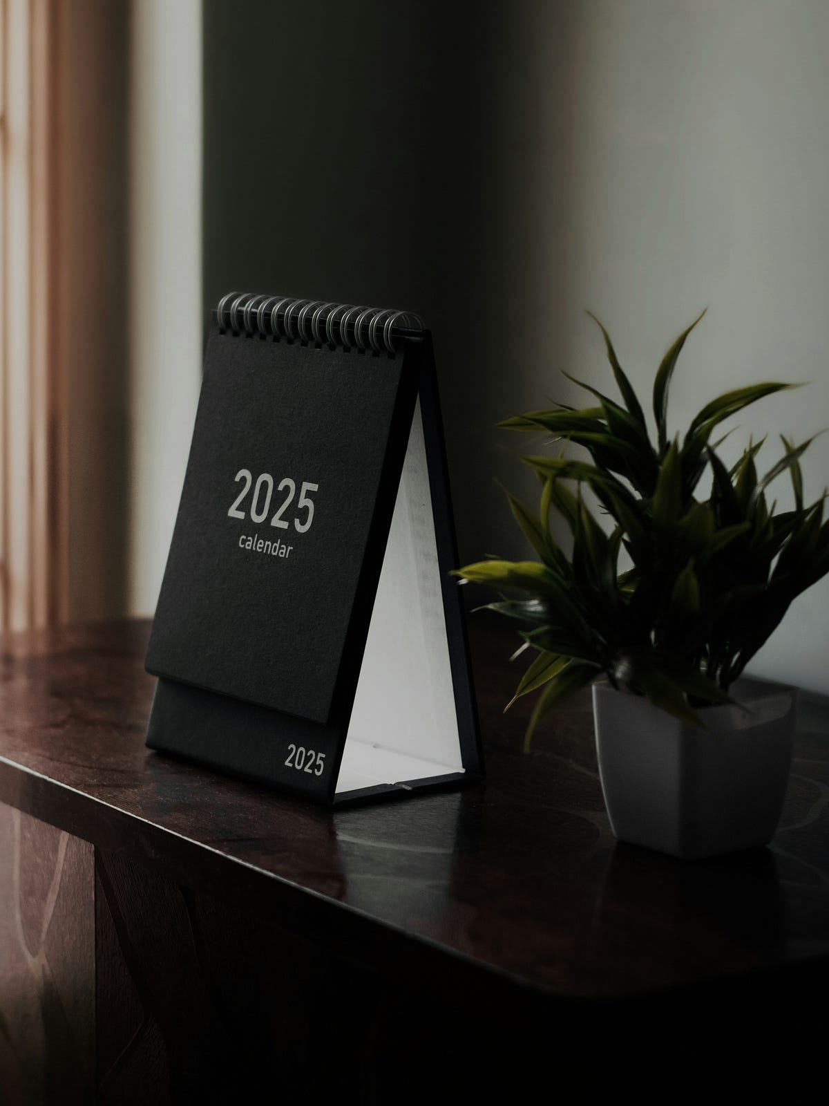 2025, Through My Eyes. Wrapping up this year with all the… | by Adrita Saha | Dec, 2025 | Medium