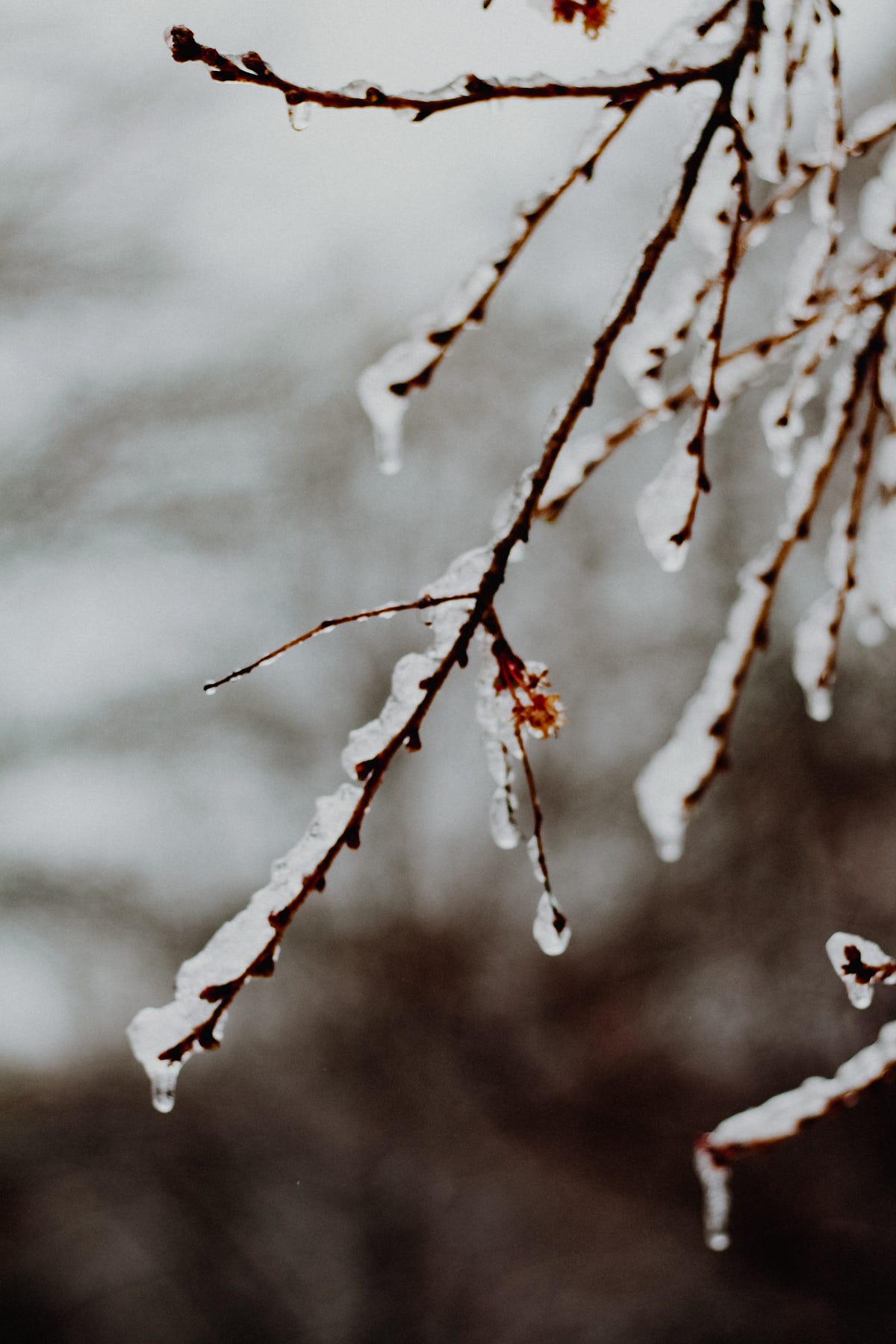 Good-bye Winter - Paper Poetry - Medium