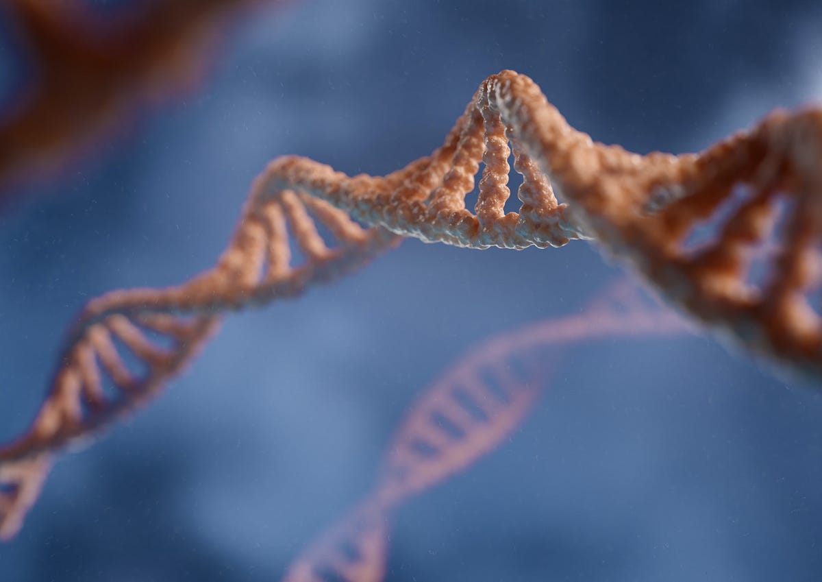 AI in Gene Editing: Ethics and Regulation | by Staney Joseph 🎖️ | Medium