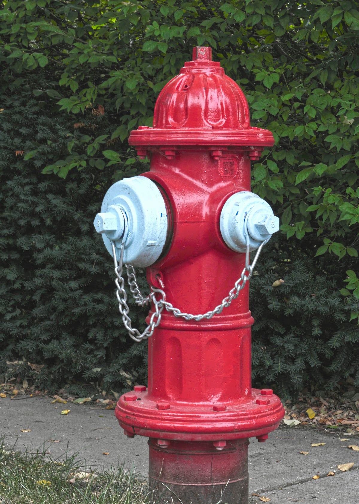 Fire Hydrant Market Trends, Analysis, Segmentation, Forecast 2031 | by Mikek | Aug, 2024 | Medium