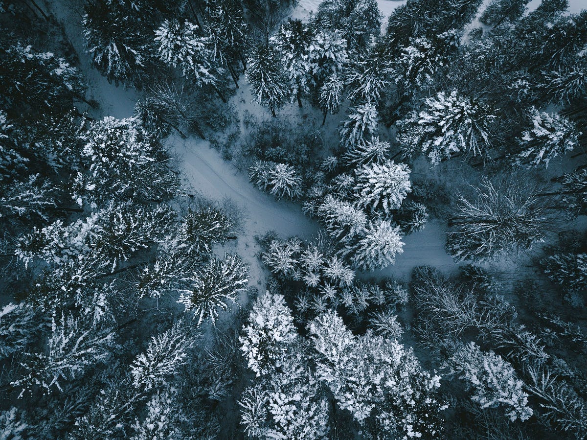 What is December 1st?. December 1st stands as a seemingly… | by Rizwan ...