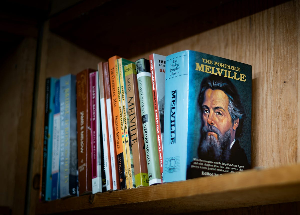 Confidence Quantified: Lessons from Herman Melville on Interpreting AI ...