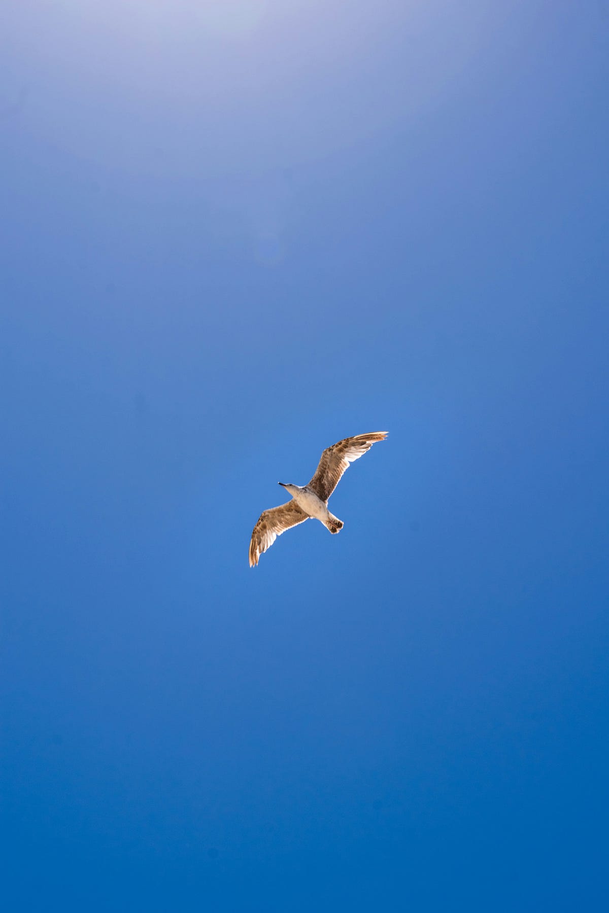 Death of essence - heresnash - Medium