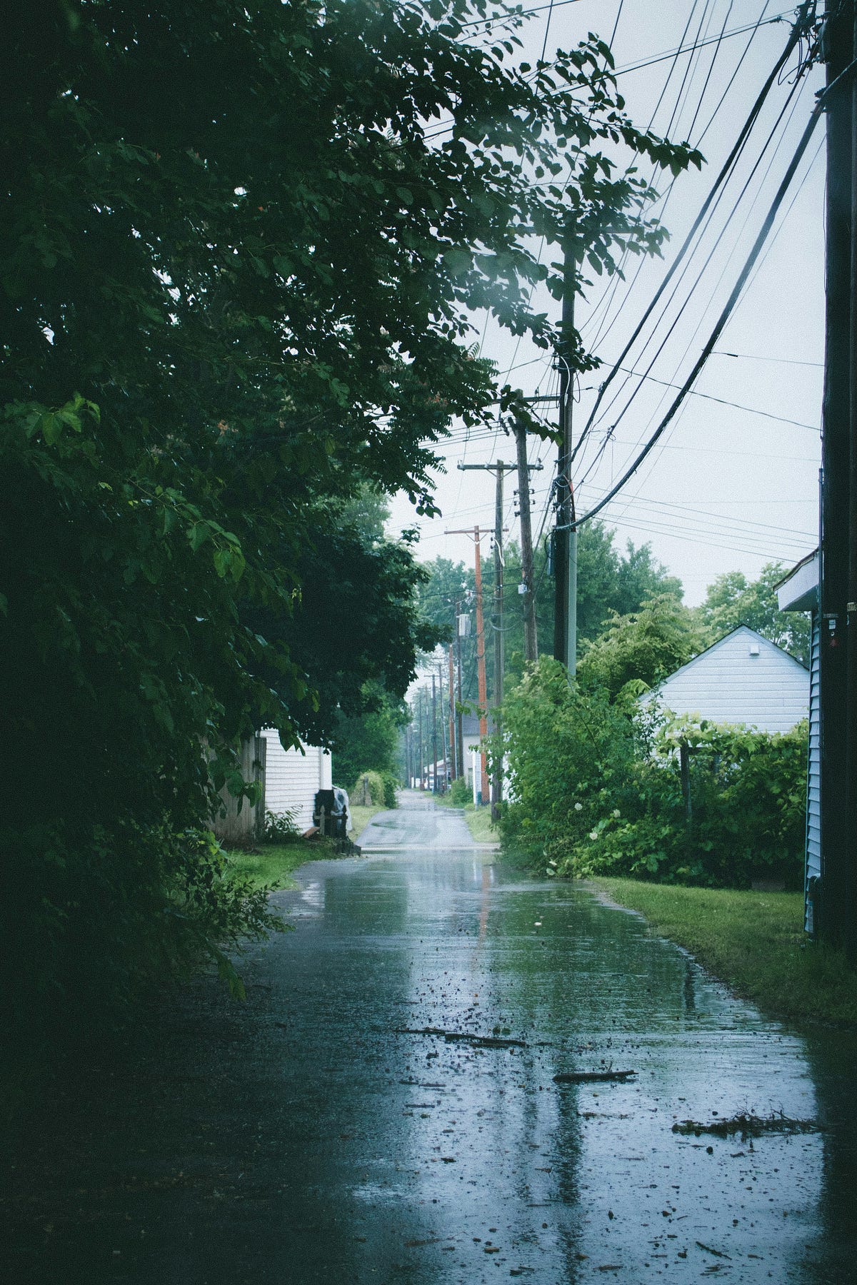 Provider - Scuzzbucket - Medium