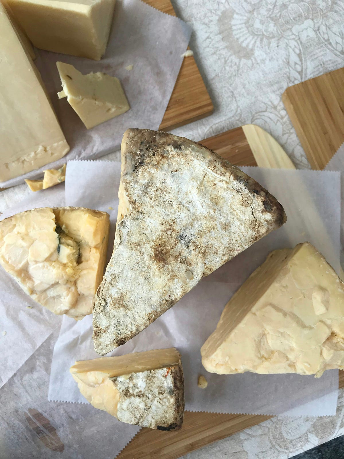 Casu Marzu: The Creepy Cheese They Don’t Want You to Eat | by S.M.ARIF ...