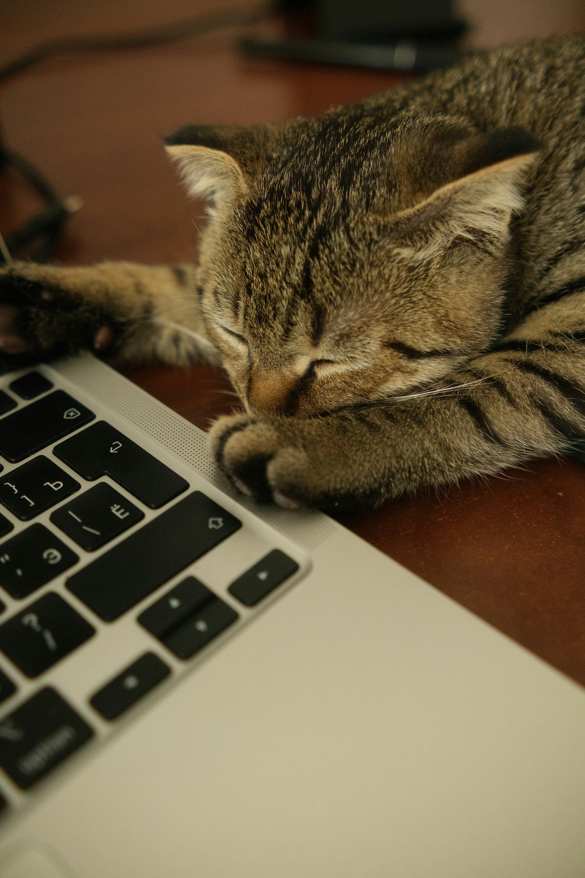 I Wrote Two Sentences Today. Seriously a breakthrough | by Maria Khalid ...