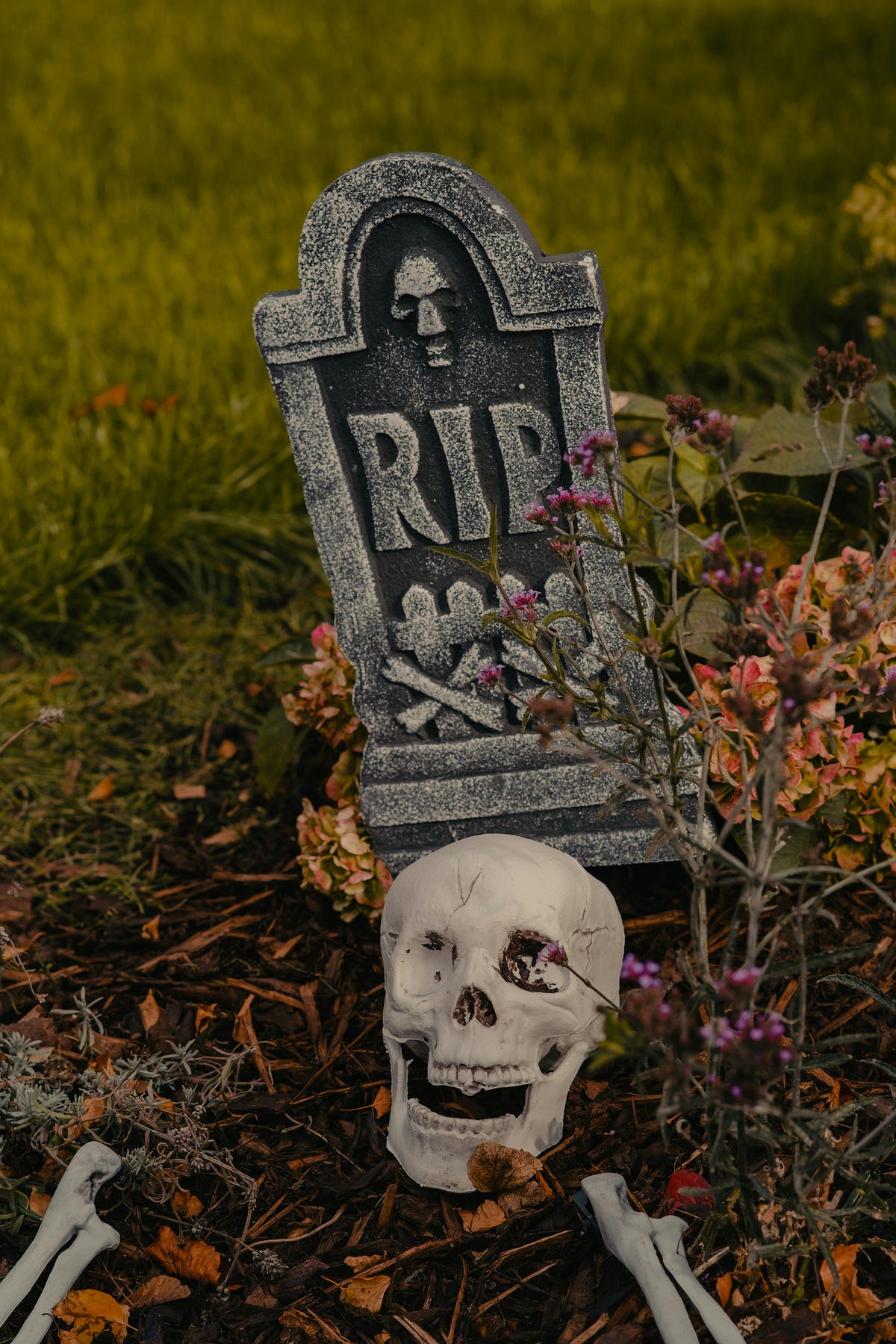 Why Women Keep Paying Interest on Dead Promises? | by LSD | BloomRise ...