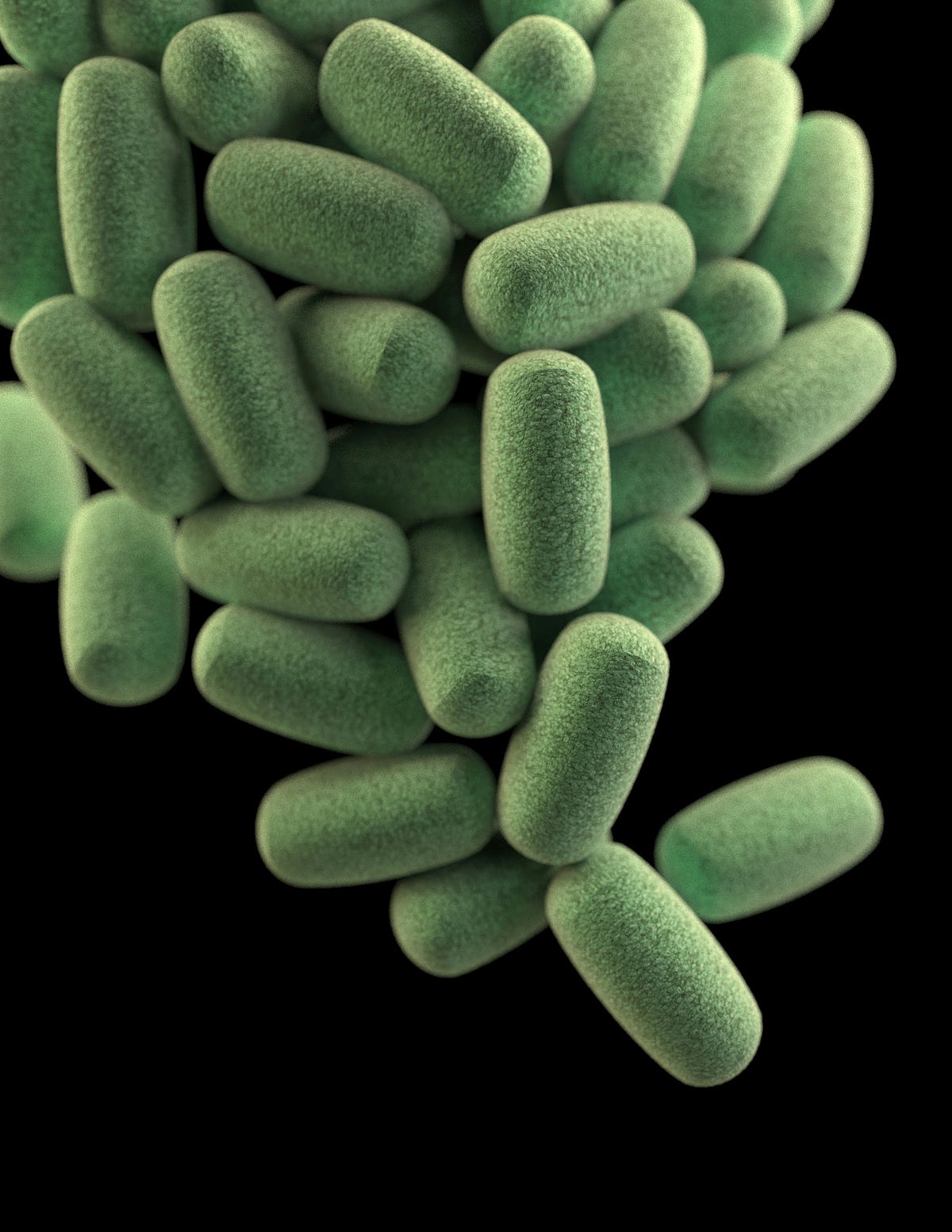 Discover the Potential of Lolamicin: A Breakthrough Antibiotic for ...